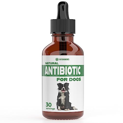 Dog Antibiotics - Antibiotics for Dogs - Antibiotic for Dog - Yeast Infection Treatment for Dogs - Dog Yeast Infection Treatment - Dog Ear Infection Treatment Antibiotic - Bacon Flavored (1 Pack)