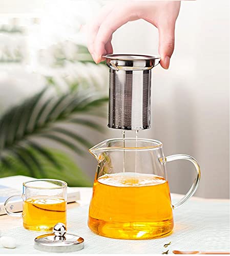 Mini Size Glass Teapot Tea Kettle-with Stainless Steel Removable Infuser for Blooming Tea & Loose Leaf Tea, Microwave & Stovetop Safe, 550ML/18oz (S-550)