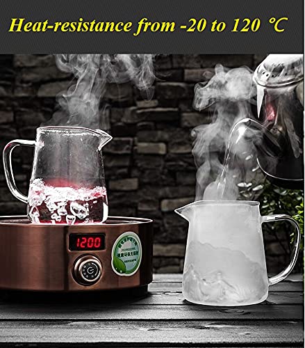 Mini Size Glass Teapot Tea Kettle-with Stainless Steel Removable Infuser for Blooming Tea & Loose Leaf Tea, Microwave & Stovetop Safe, 550ML/18oz (S-550)