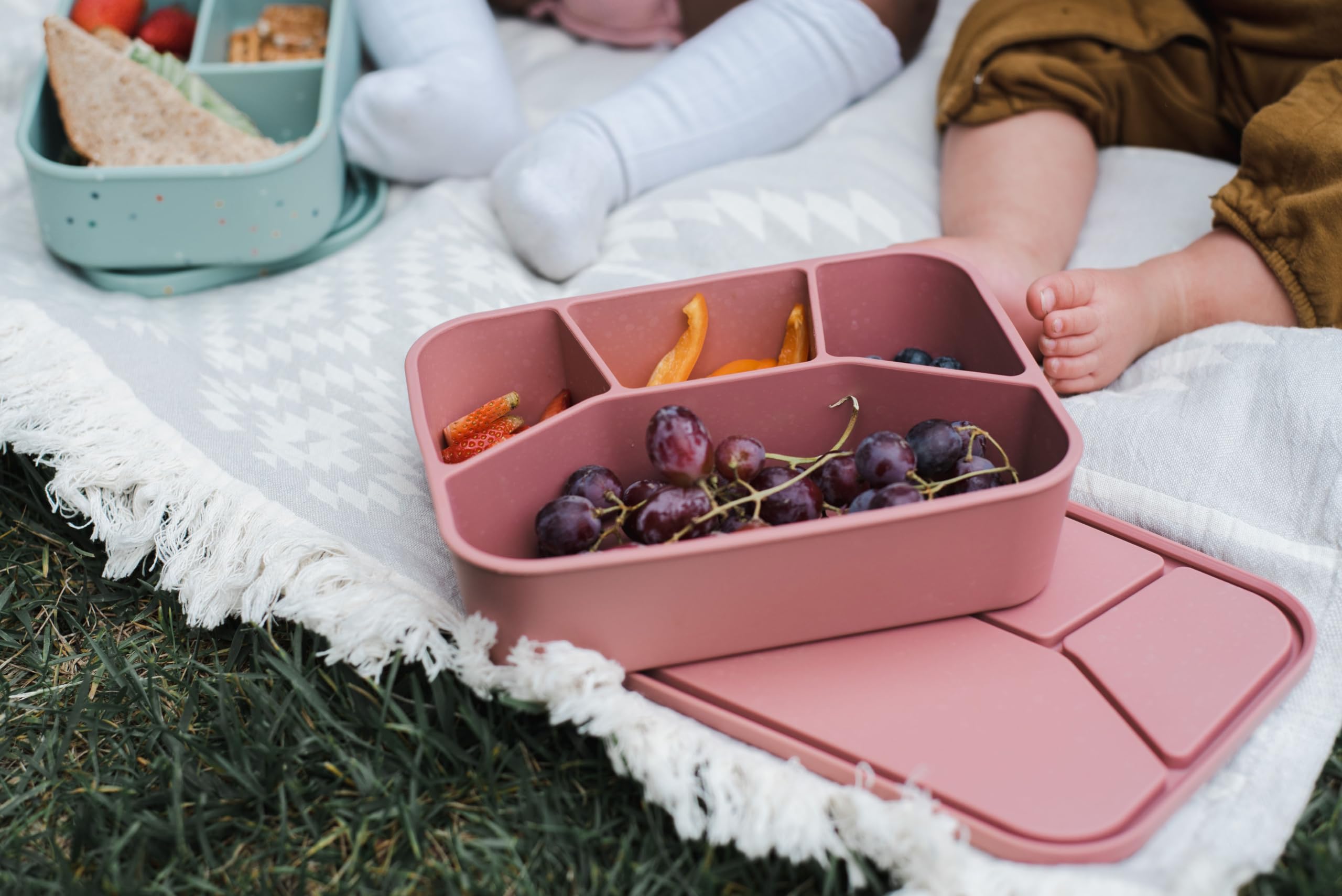 Spoondrift 100% Food Grade Eco-Friendly Leak-Proof Silicone Bento Box Lunchbox, For Child And Adult, 4 Compartment, Choose from 6 Colors, Includes 1 Box (Dark Pink)