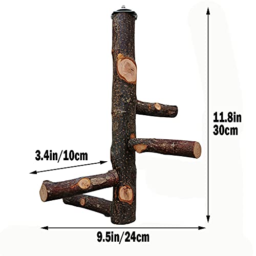 QeeHeng Bird Stand Perch,Natural Wood Parrot Perch Bird Cage,Bird Cage Perches for Parrots,Small Parakeets Cockatiels, Macaws, Parrots, Love Birds, Finches
