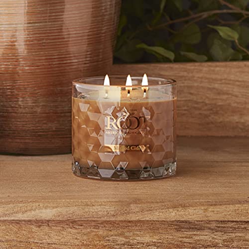 Root Candles Honeycomb Beeswax Blend Scented Candle, 12-Ounce, Mulled Cider
