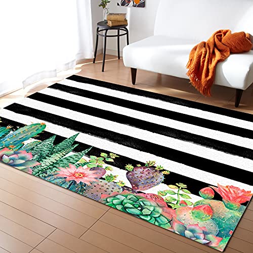 Olivefox 3x5 Feet Floor Mat Area Rug, Cactus Watercolor Black and White Stripes Runner Indoor Carpet, Non Skid Rug Accent for Living Room, Hallway, Kitchen, Office HSM-2021-5-13-JJXT-SHZF02827MDKAOLX