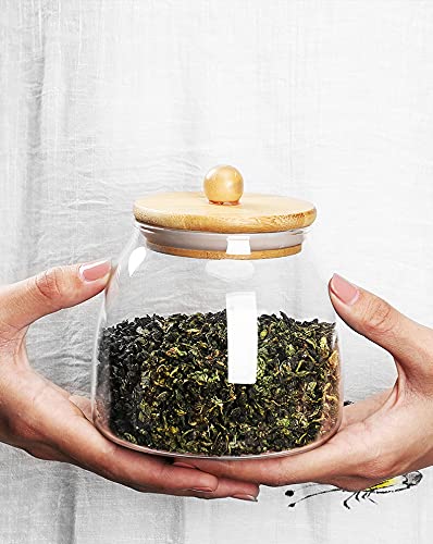 Mozacona Glass Food Storage Container Candy Dish Spice Jar with Seal Wooden Lid