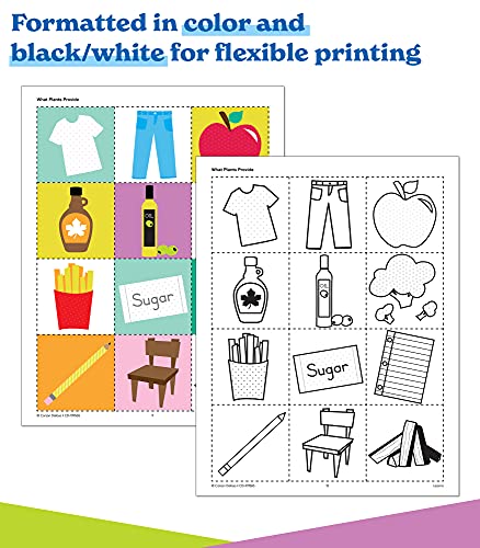 In A Flash Plants Science Instructional ResourcesâFlash Drive With Lessons, Labs, Observation Journal, Templates, Songs, Posters, STEM Challenge, Plant E-Books, Grades K-2 (191 pgs)