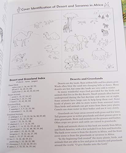 Rod & Staff Preschool Curriculum - GHI JKL Series - Early Learning Homeschool Set of 6 Workbooks