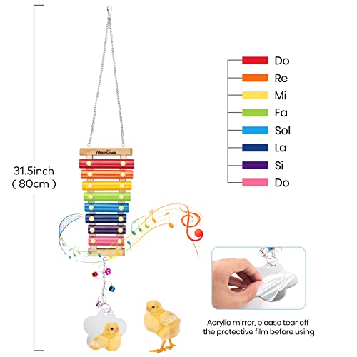 Ohanniewa Chicken Toys for Hens Chicken Xylophone Toy Chicken Mirror and Shredding Foraging Toys for Coop