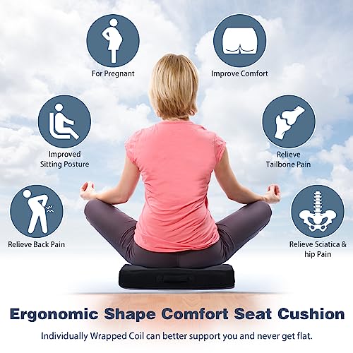 baibu Patented Spring Coil Seat Cushion Chair Pad 19 x 17x 3 Inch, Dual Layer Bamboo Charcoal Foam Chair Cushions with Carry Handle Non Slip Bottom, Machine Washable (Black (1PACK))