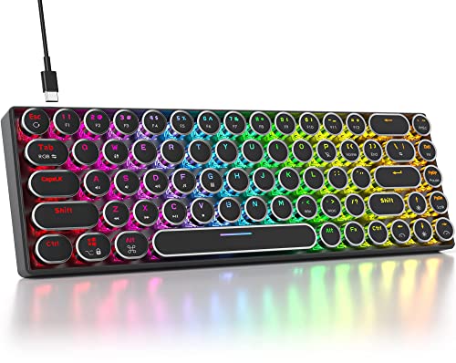 Ussixchare Retro Typewriter Mechanical Keyboard 60 Percent Gaming Keyboard RGB Backlit 68 Keys Punk Keyboard Wired with Blue Switch, Round Keycaps for Windows/Mac/PS4/PS5/Xbox