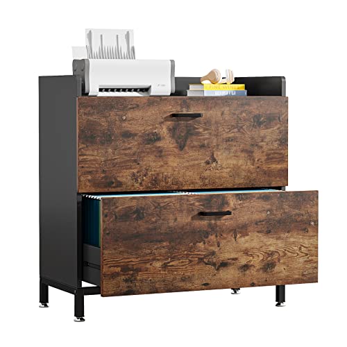 LITTLE TREE Large File Cabinet Lateral Filing Cabinets with 2 Drawers for Home Office, Industrial Wide Tall Filing Organization for Letter/Legal/F4/A4 File Size