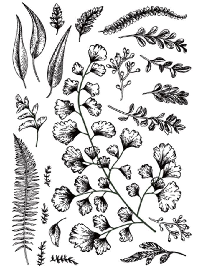 Forever Stamps Silicone Clear Stamps - Plants Botanic Pattern with Arylic Block Set for Card Making Decoration and DIY Scrapbooking ZENTA