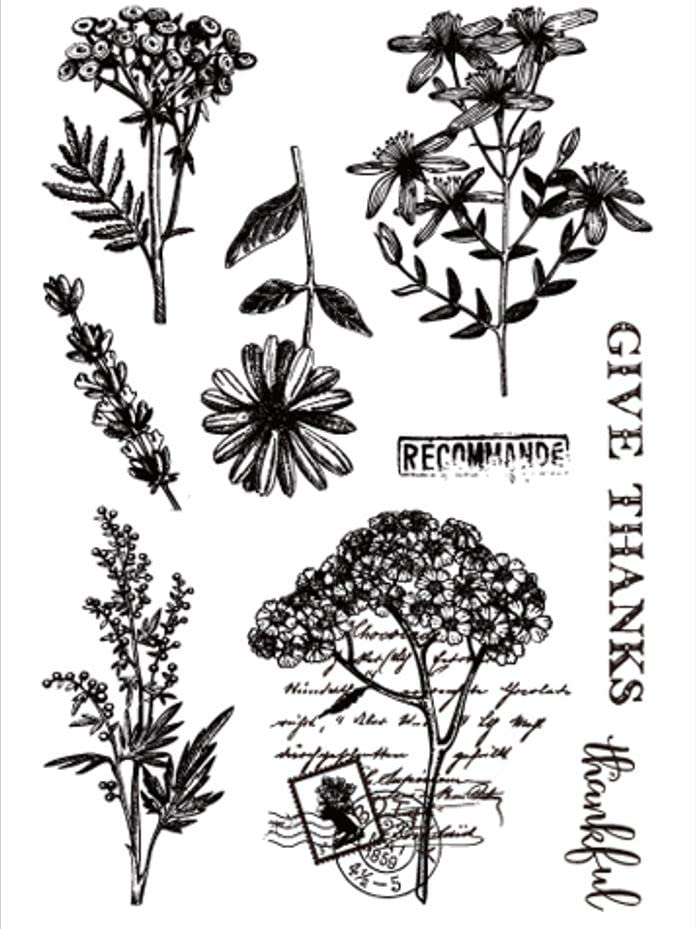 Forever Stamps Silicone Clear Stamps - Plants Botanic Pattern with Arylic Block Set for Card Making Decoration and DIY Scrapbooking ZENTA