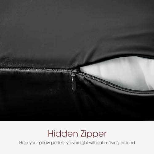 WLOSJ 100% Silk Pillow Cases 2 Pack Queen Size Mulberry Silk Pillowcase for Hair and Skin Set of 2 Highest Grade 6A Silk with Hidden Zipper, Black