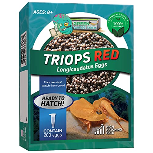 Greenwaterfarm Triops Red Longicaudatus Eggs for Hatching and Culture Suitable to be Pet and Science Project (Pure 200 Eggs)