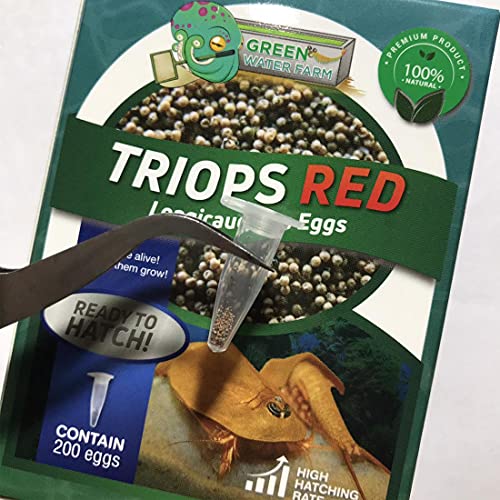 Greenwaterfarm Triops Red Longicaudatus Eggs for Hatching and Culture Suitable to be Pet and Science Project (Pure 200 Eggs)