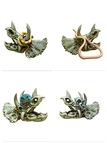 PetierWeit Resin Triceratops Skull Decoration Aquarium Dinosaur Ornaments Reptile Shelter Artificial Dinosaur Hideout Cave Landscape for Snake, Polypedatid, Fish, Shrimp