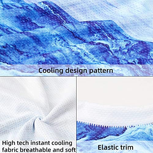 DELIFUR Dog Cool Vest Instant Cooling Clothes for Bulldog Cats on Summer (XX-Large)