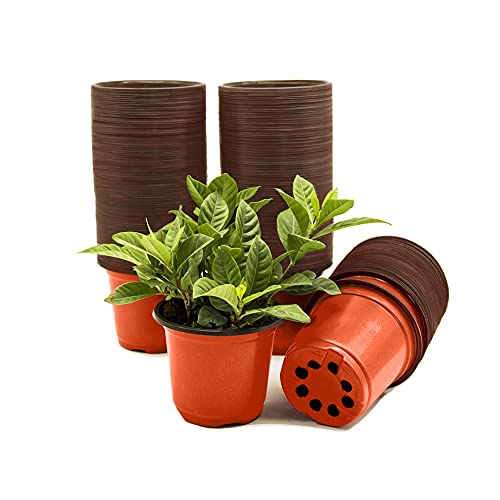 HECTOLIFE 200 Pcs 4 Inch Plant Nursery Pots,Plastic Seedling Pots,Seed Starting Pot Flower Plant Container for Succulents, Seedlings, Cuttings, Transplanting