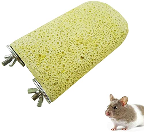 Lava Ledge Birds Rats Chinchillas, Teeth Grinding Lava Block for Rabbits, Hamsters and Parrots, Mineral Block, Easy Installation Random Color