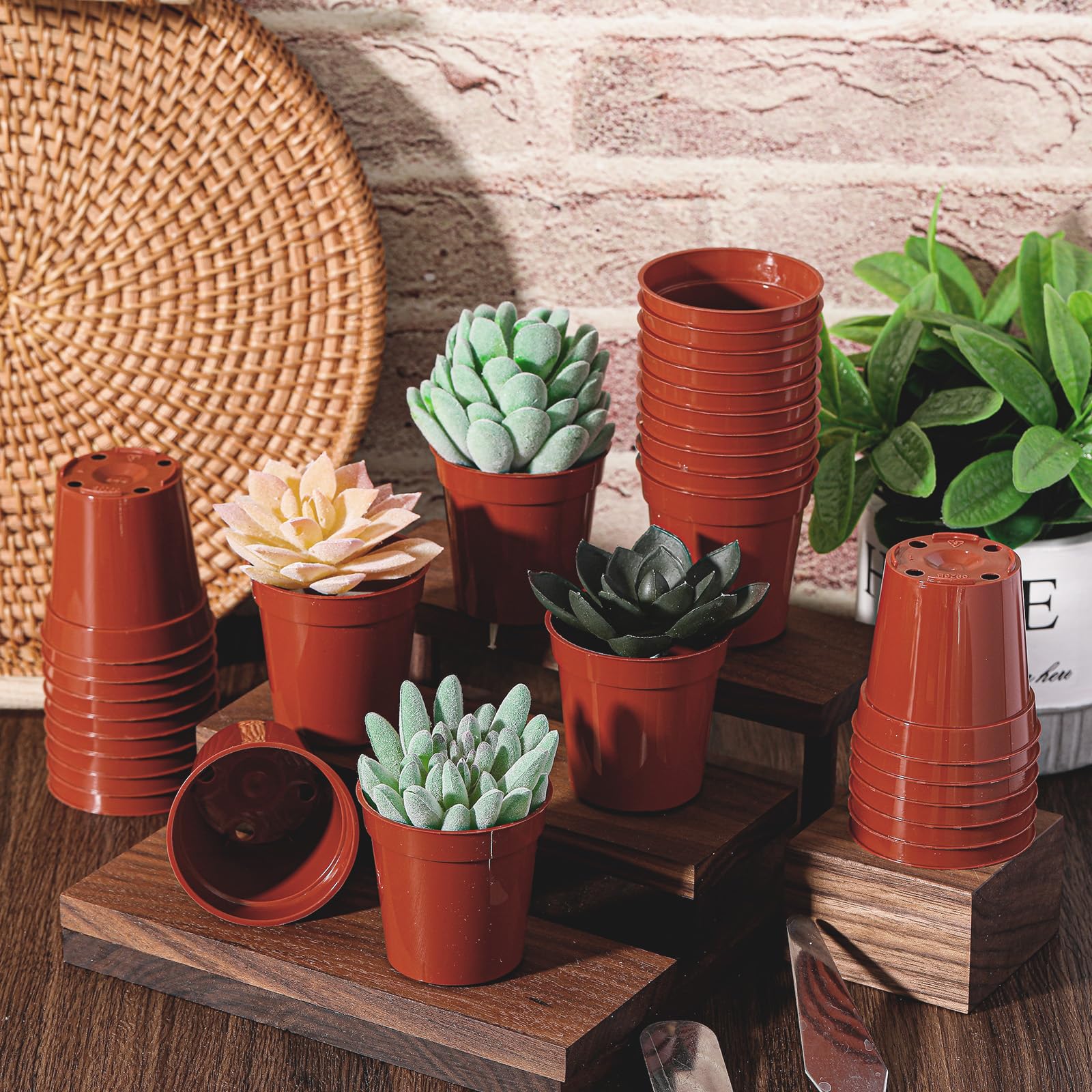 Yaomiao 200 Pcs 2 Inch Red Mini Plastic Plant Pot Nursery Seedling Pots Seed Starter with Drainage Holes for Indoor Outdoor Garden Succulent Plants Cuttings Transplanting
