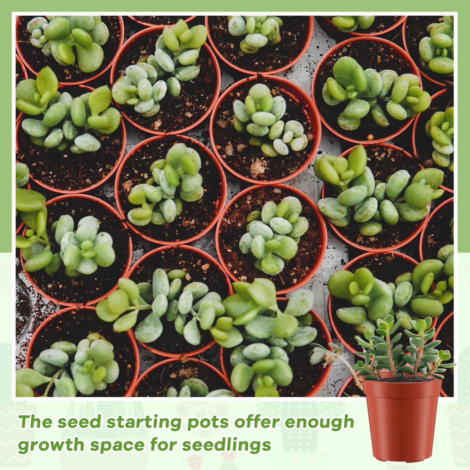 Yaomiao 200 Pcs 2 Inch Red Mini Plastic Plant Pot Nursery Seedling Pots Seed Starter with Drainage Holes for Indoor Outdoor Garden Succulent Plants Cuttings Transplanting