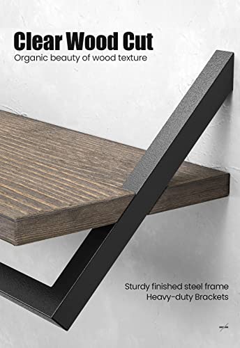 LYNNC Floating Shelves Wall Mounted, Solid Wood Shelves for Bedroom, Living Room, Kitchen, Bathroom, Wall Shelf Decor, Set of 2, Brown