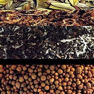 Josh's Frogs Bioactive ABG Substrate Vivarium Bundle- Extra Small
