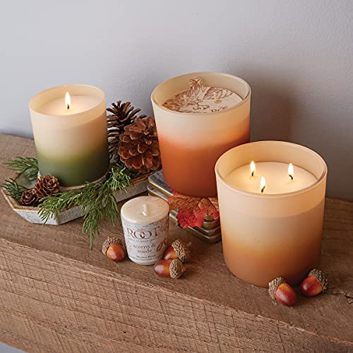 Root Candles Scented Votive Candles Beeswax Blend Premium Handcrafted 20-Hour Votives, 18-Count, Acorn & Suede