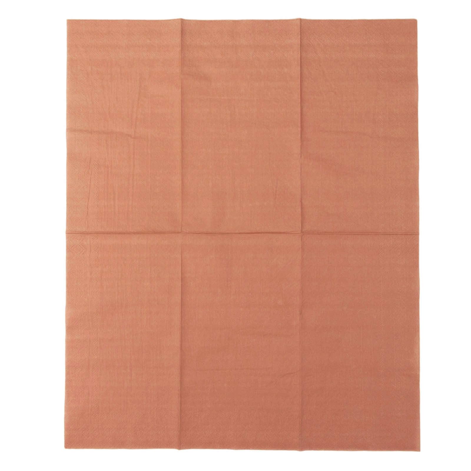 Tableclothsfactory 50 Pack | 2 Ply Soft Terracotta Dinner Party Paper Napkins, Wedding Reception Cocktail Beverage Napkins