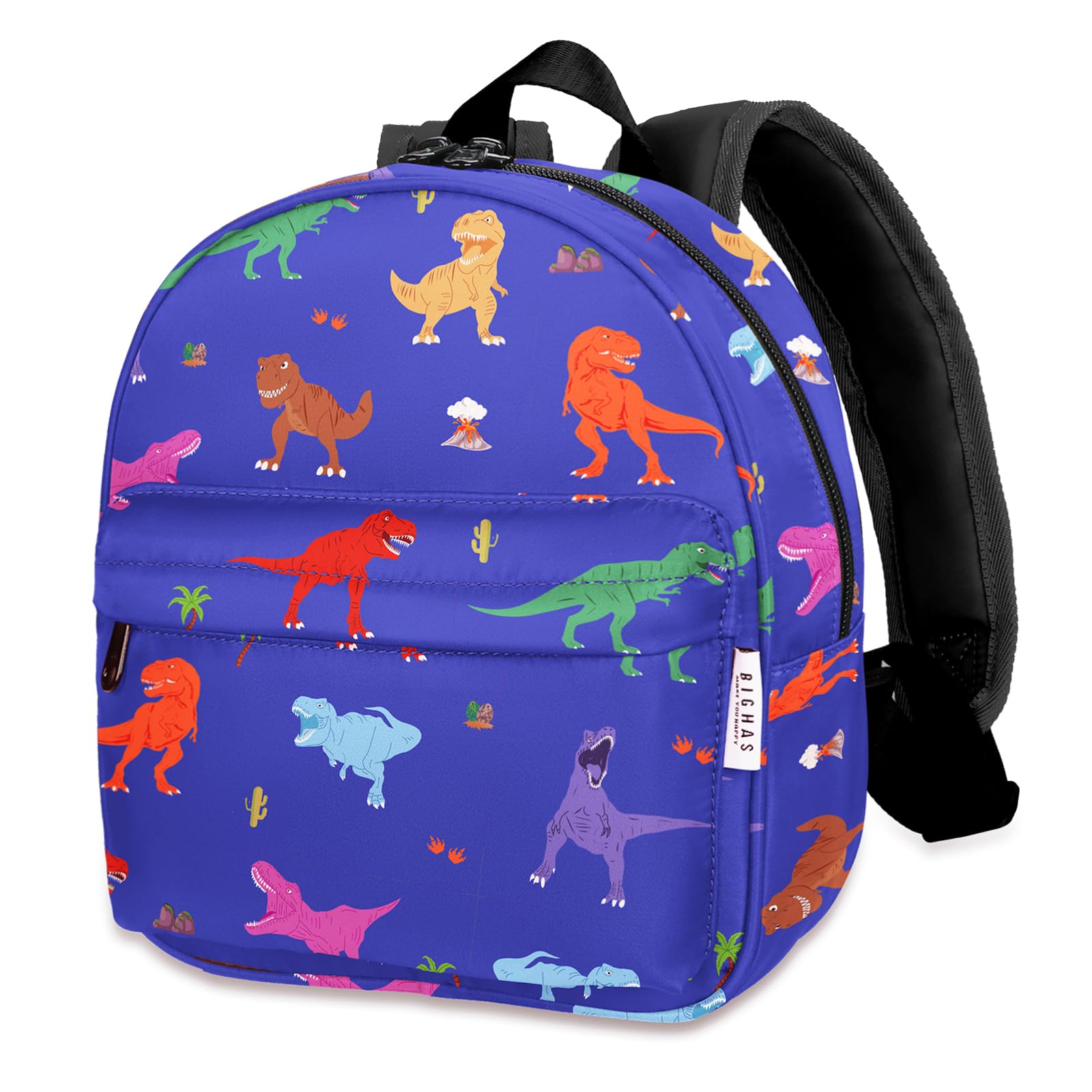 BIGHAS Lightweight Toddler Kids Backpack with Chest Strap For Boys and Girls, Preschool Kindergarten 3-6 Years Old 30 Colors (Trex/Blue)