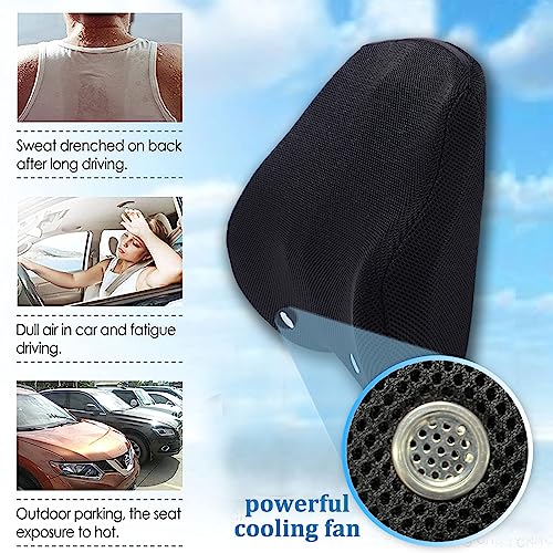 Big Ant Lumbar Support Pillow for Car, Car Back Support for Lower Back Pain with Ergonomic Design, Memory Foam Lumbar Back Support Cushion for Car Seat Home Office Chair Wheelchair, Black