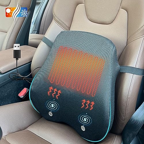 Big Ant Lumbar Support Pillow for Car, Car Back Support for Lower Back Pain with Ergonomic Design, Memory Foam Lumbar Back Support Cushion for Car Seat Home Office Chair Wheelchair, Black