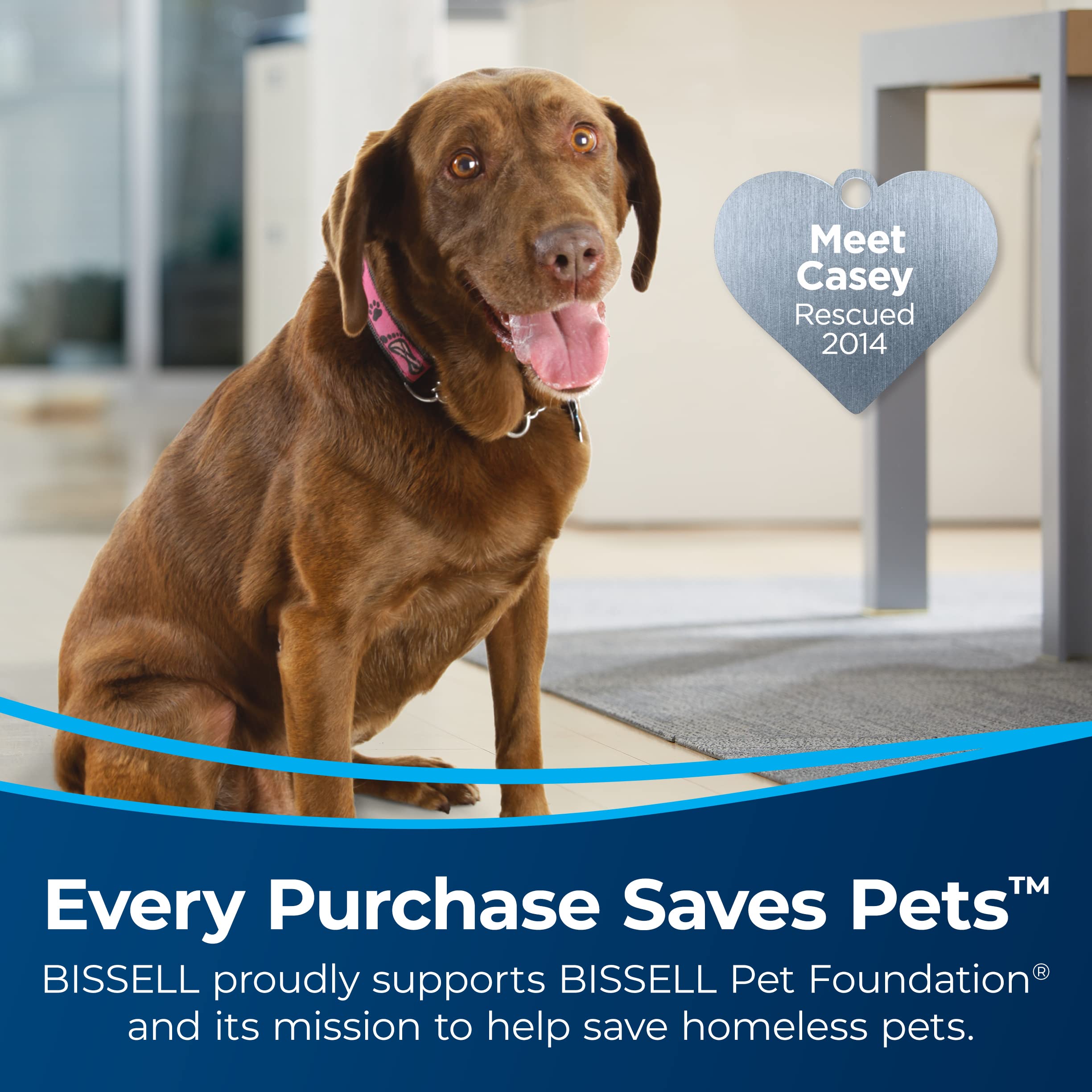 Bissell Crosswave HF3 Cordless Wet/Dry Vacuum Cleaner and Mop, Multi-Surface and Hardwood Floor Cleaner, 3649A