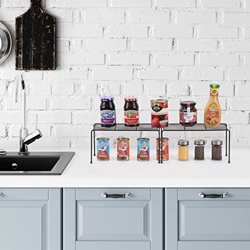 Mini Mesh Kitchen Shelves,Cabinet Storage Shelf Rack, Cabinet Organization ,Kitchen Bathroom Pantry Cupboard Desk Home Office, Fridge, Cabinet, Bathroom Cupboard, Non-slip Plastic Feet (6, Black)
