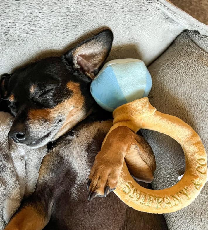 Fuzzyard Valentine's Day Dog Toy, Squeaky and Crinkle for Small, Medium and Large Breed Dogs (Diamond Ring)