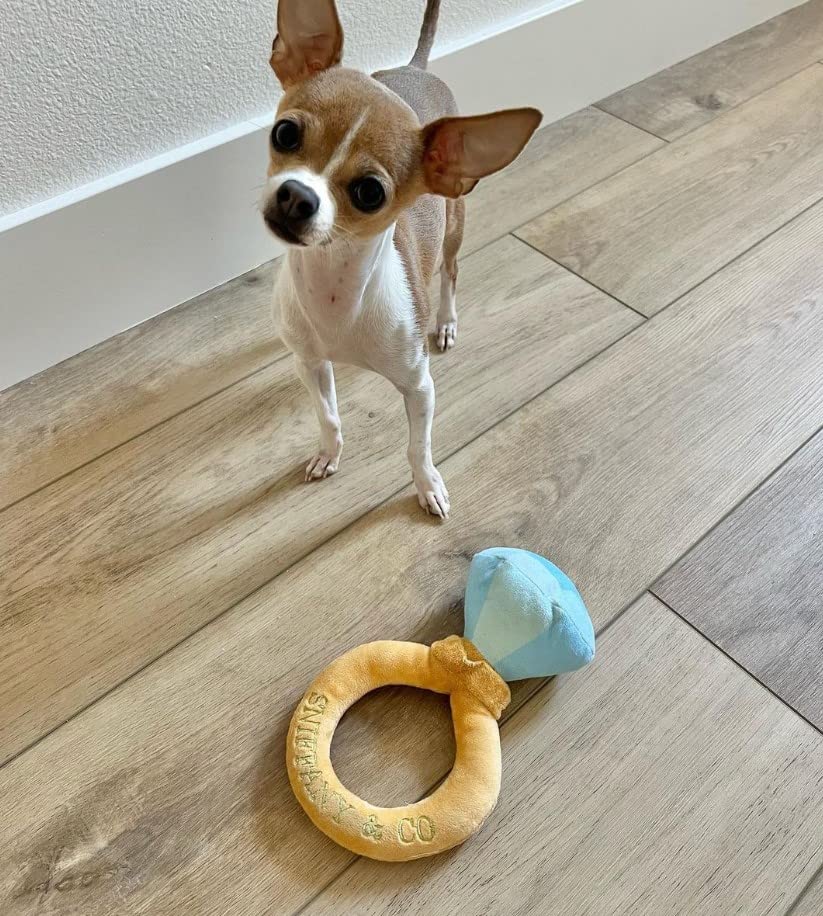 Fuzzyard Valentine's Day Dog Toy, Squeaky and Crinkle for Small, Medium and Large Breed Dogs (Diamond Ring)