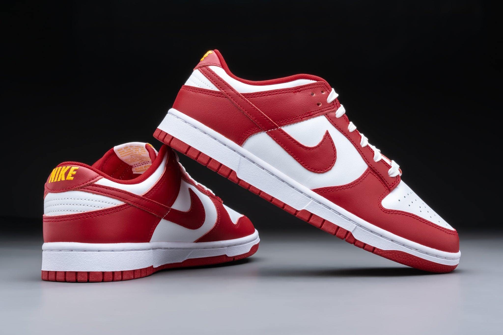 Nike Mens Dunk Low Retro DD1391 602 USC - Size 11