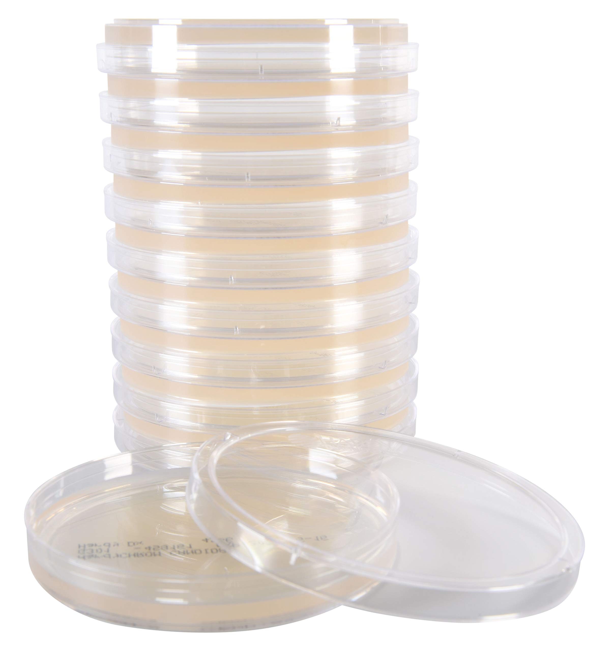 HardyCHROM Candida, Chromogenic Medium for C. Tropicalis, Krusei, and Albicans; 15x100mm Plate, Order by The Package of 10, by Hardy Diagnostics