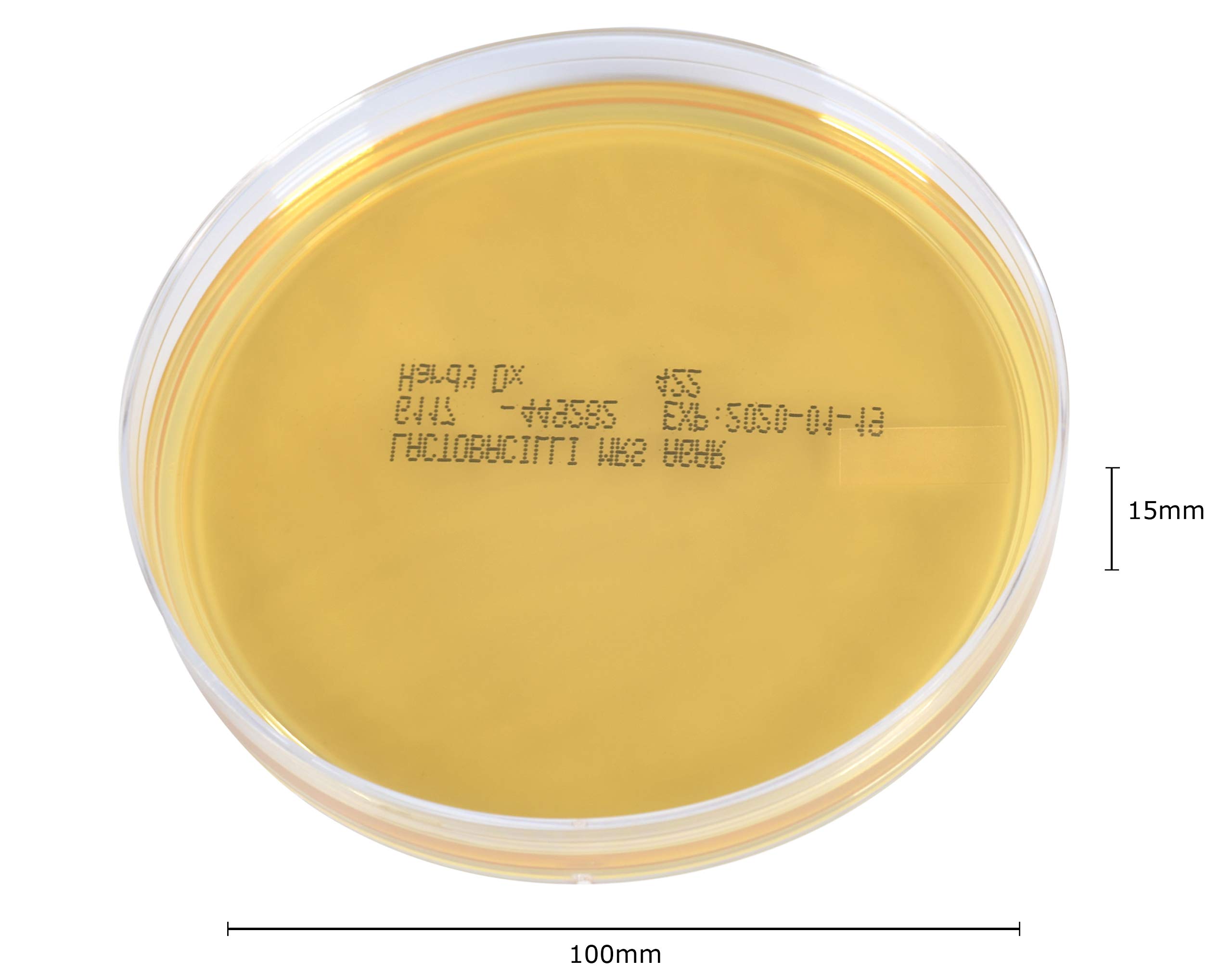 Lactobacilli MRS Agar, for The Cultivation of Lactobacillus Spp, 15x100mm Plate, Order by The Package of 10, by Hardy Diagnostics