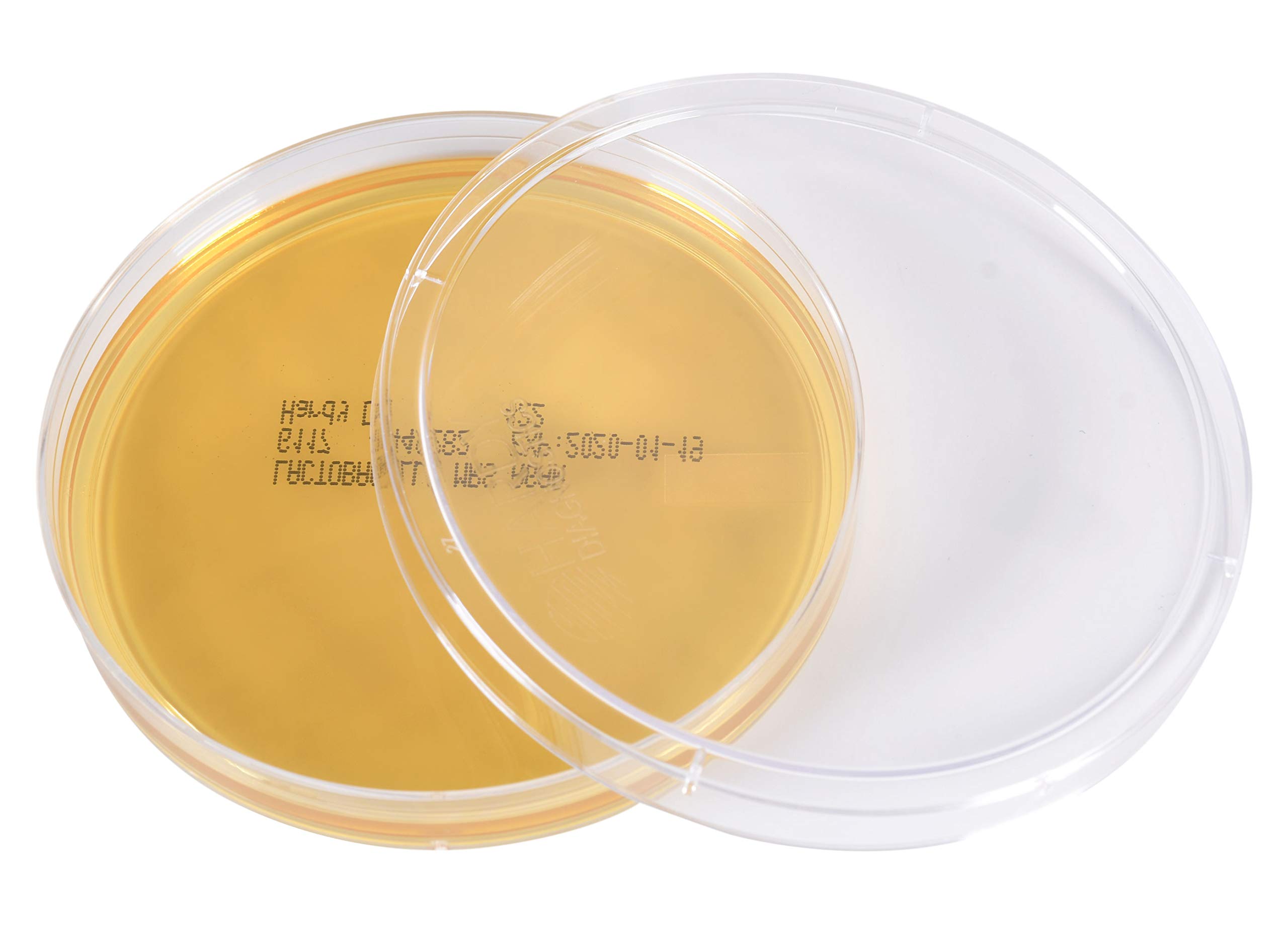 Lactobacilli MRS Agar, for The Cultivation of Lactobacillus Spp, 15x100mm Plate, Order by The Package of 10, by Hardy Diagnostics