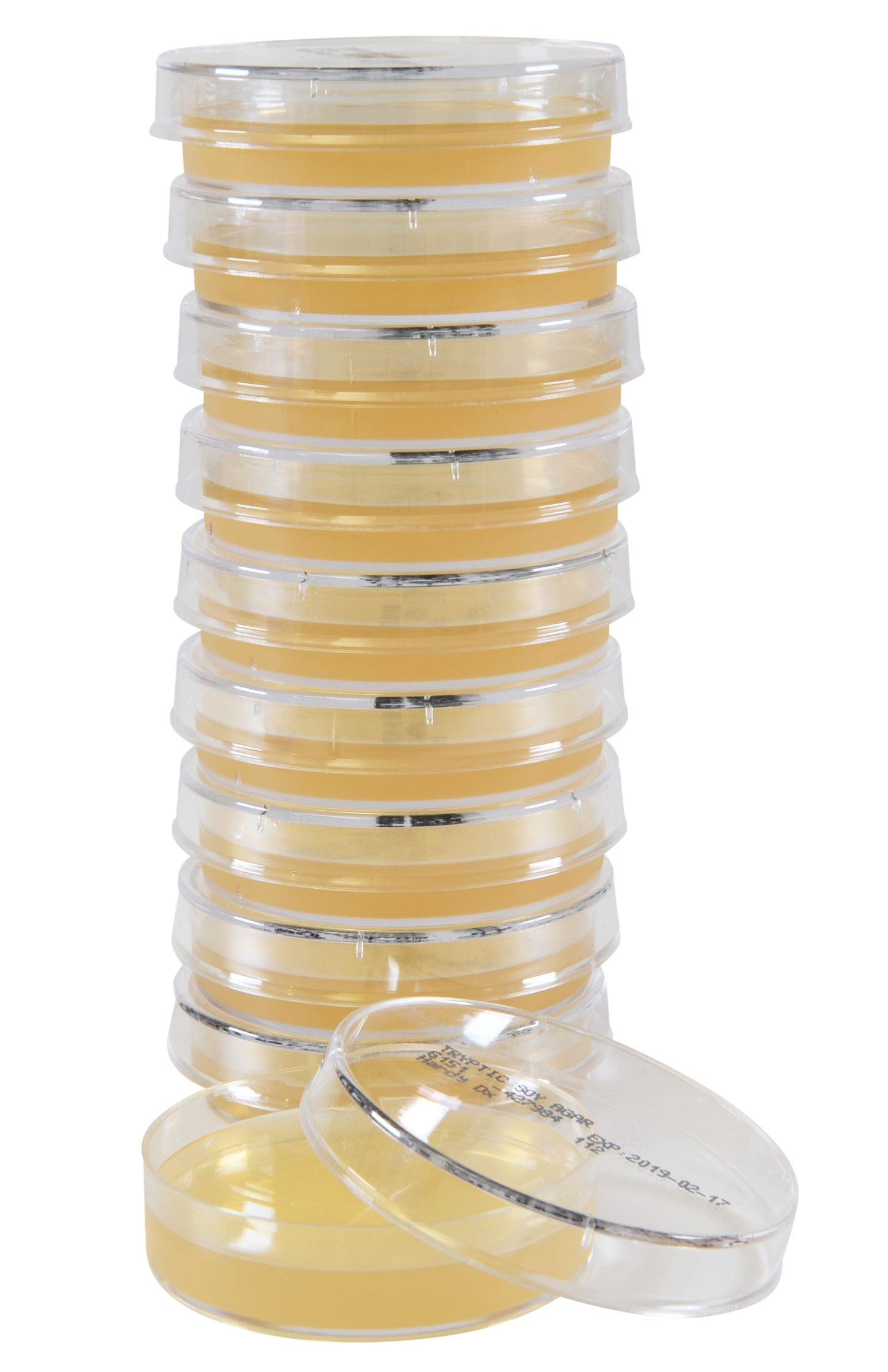 Tryptic Soy Agar (TSA), Small 15x60mm Plate, Order by The Package of 10, by Hardy Diagnostics