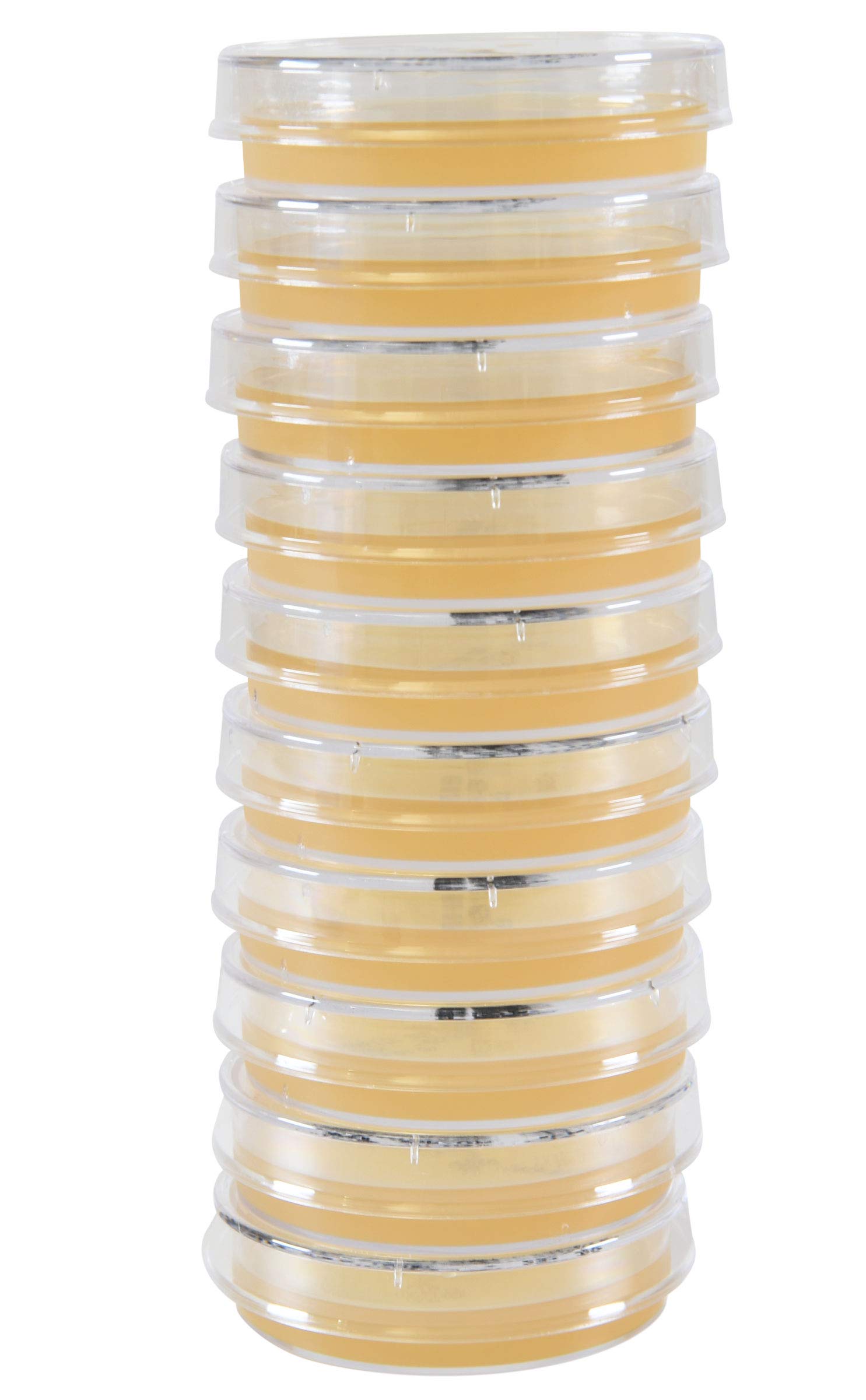 Tryptic Soy Agar (TSA), Small 15x60mm Plate, Order by The Package of 10, by Hardy Diagnostics