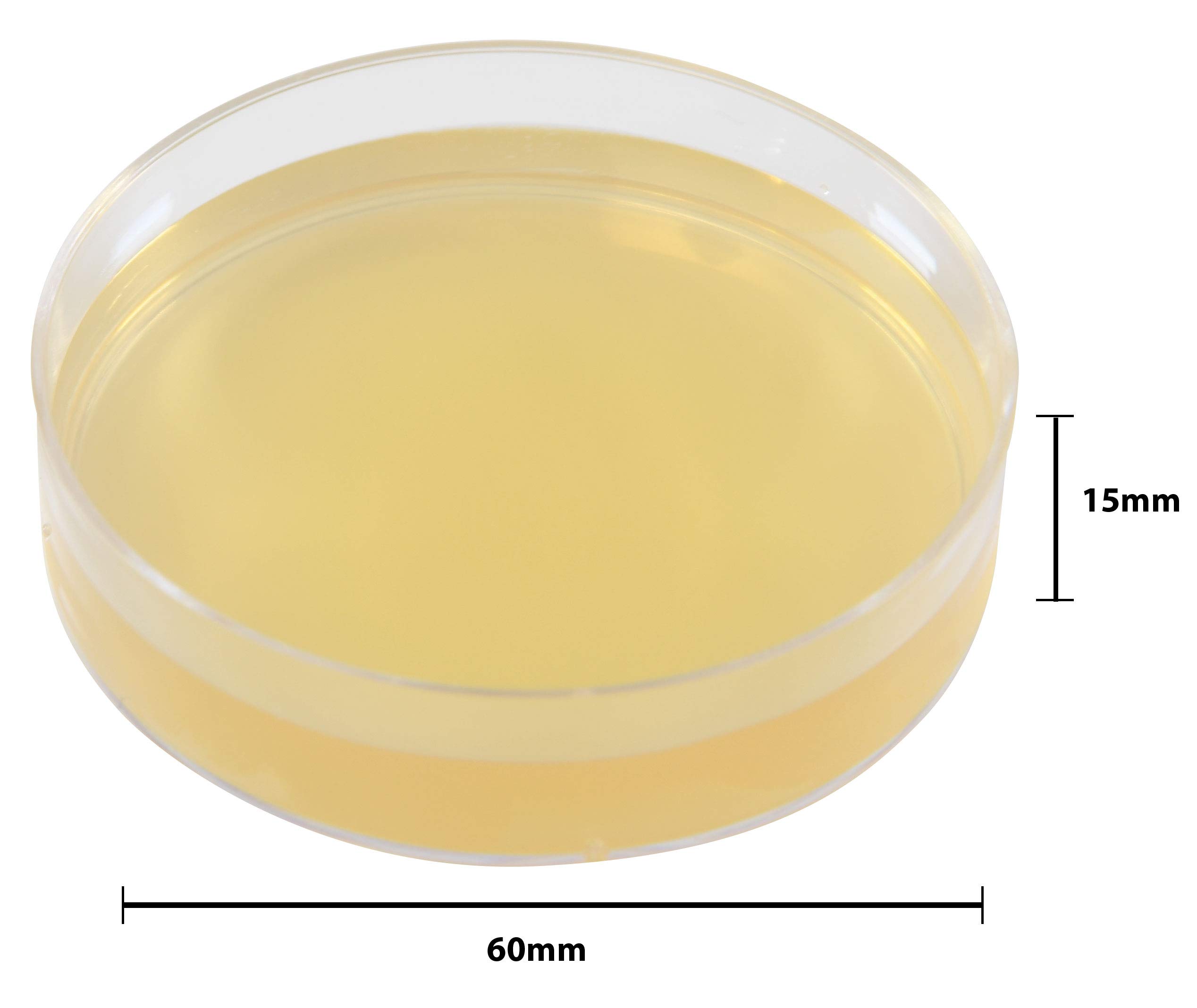 Tryptic Soy Agar (TSA), Small 15x60mm Plate, Order by The Package of 10, by Hardy Diagnostics