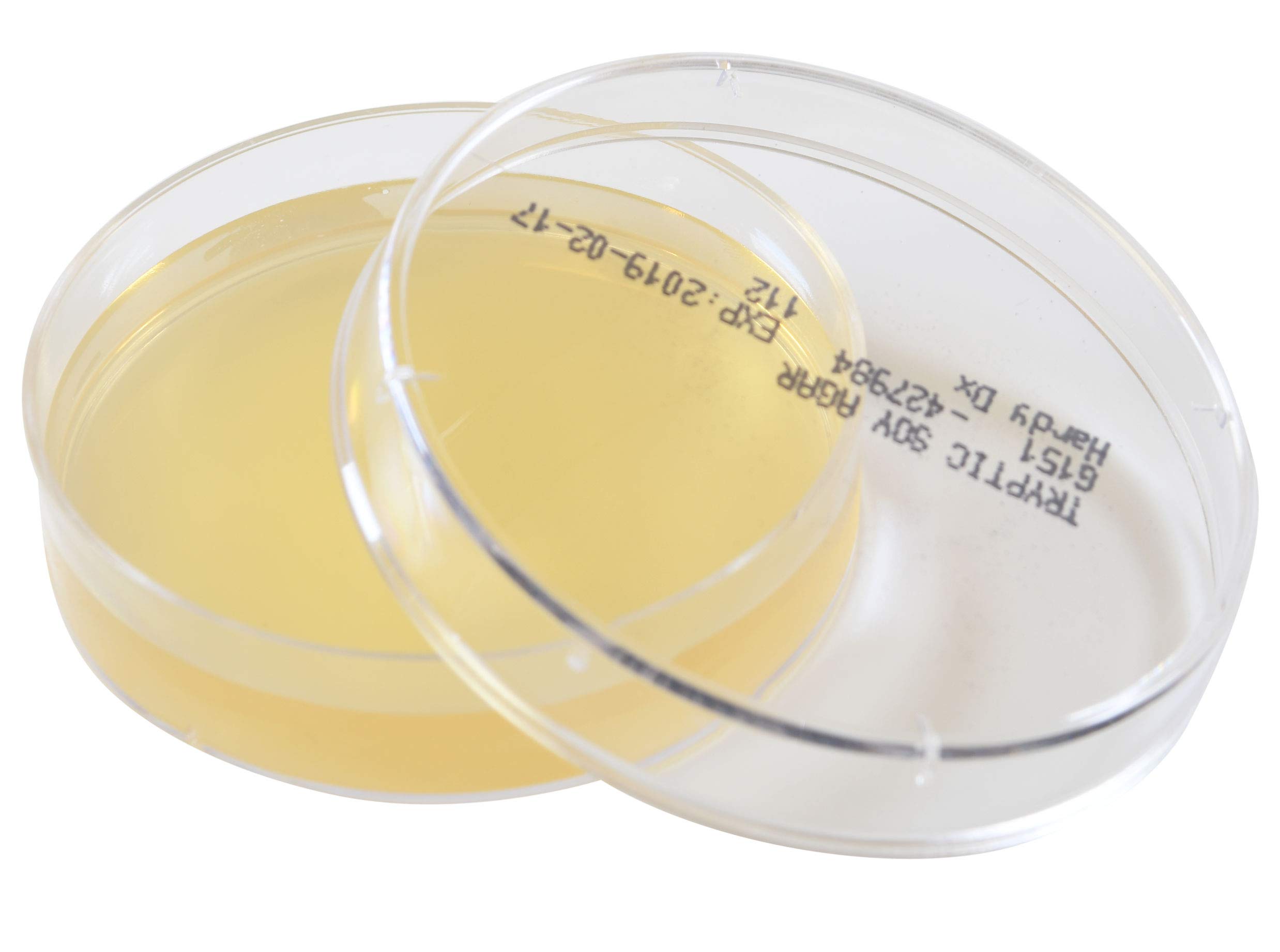 Tryptic Soy Agar (TSA), Small 15x60mm Plate, Order by The Package of 10, by Hardy Diagnostics