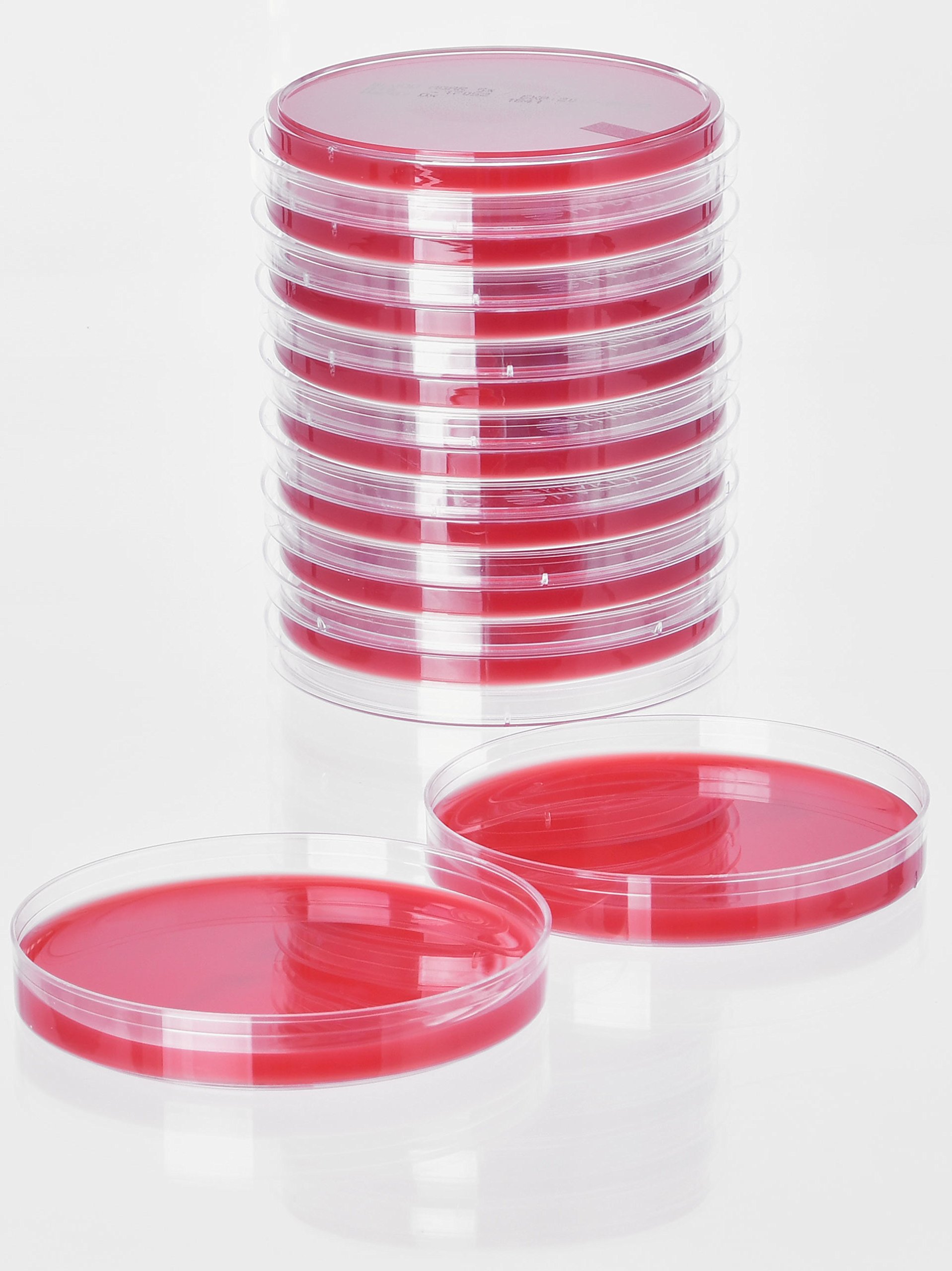 Blood Agar Plate, 5% Sheep Blood in Tryptic Soy Agar (TSA) Base, 15x100mm Plate, Order by The Package of 100, by Hardy Diagnostics
