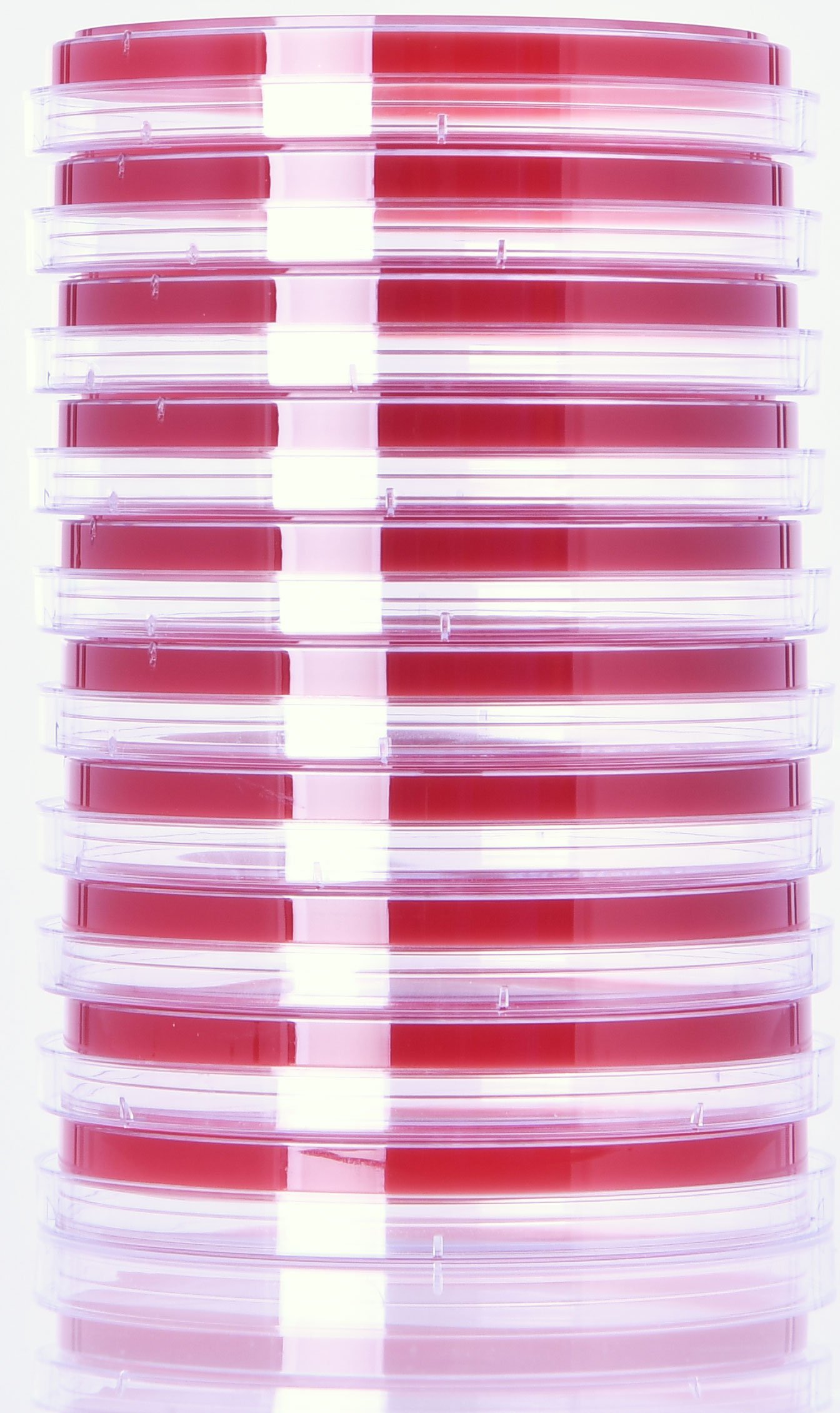 Blood Agar Plate, 5% Sheep Blood in Tryptic Soy Agar (TSA) Base, 15x100mm Plate, Order by The Package of 100, by Hardy Diagnostics