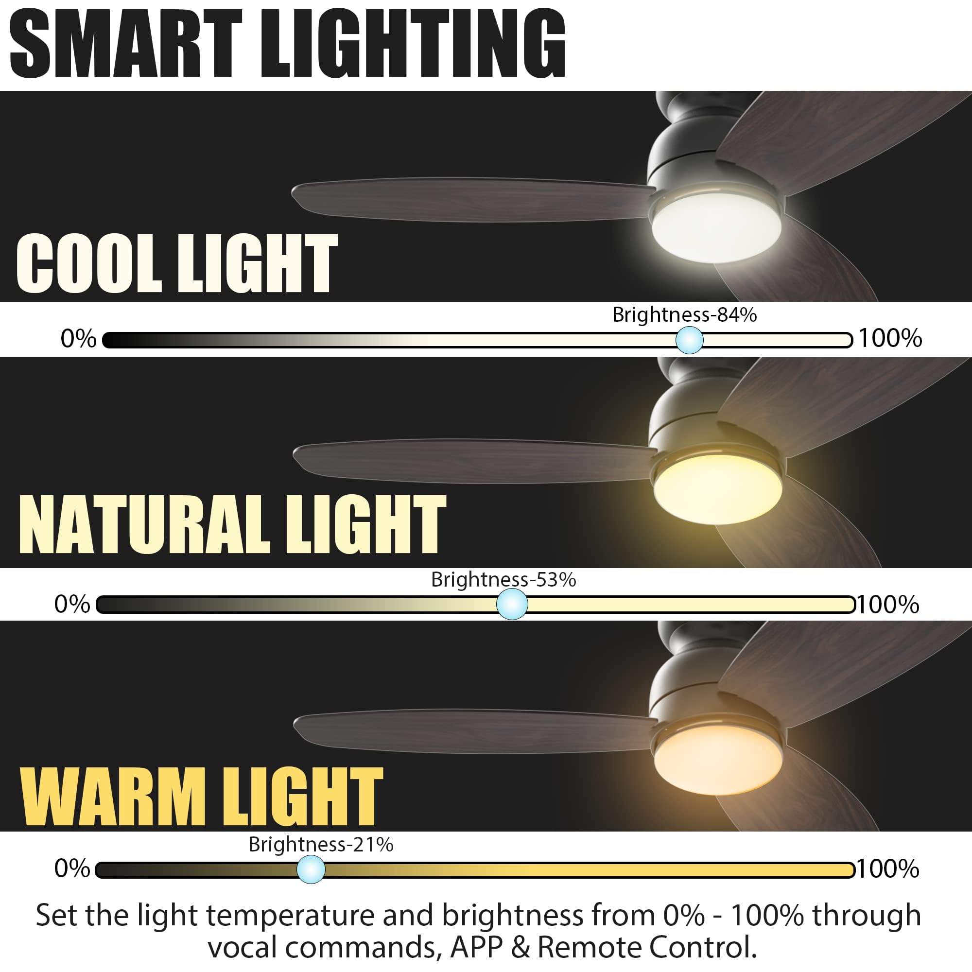 Ceiling Fan with Lights, Indoor & Outdoor Ceiling Fan,48" Low Profile DC Smart Ceiling Fan Works with Alexa, Siri, Google Home & Smart APP, 2 Colors of Reversible Blades, Dark Walnut & Light Wood
