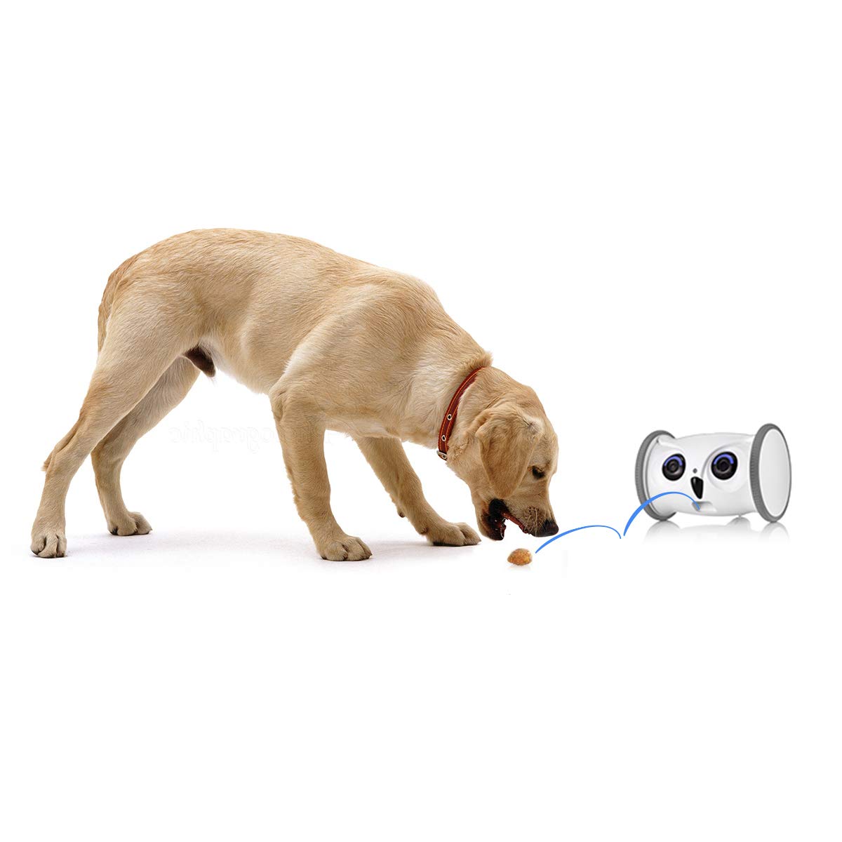 SKYMEE Owl Robot: Mobile Full HD Pet Camera with Treat Dispenser, Interactive Toy for Dogs and Cats, Remote Control via App (2.4G WiFi ONLY)