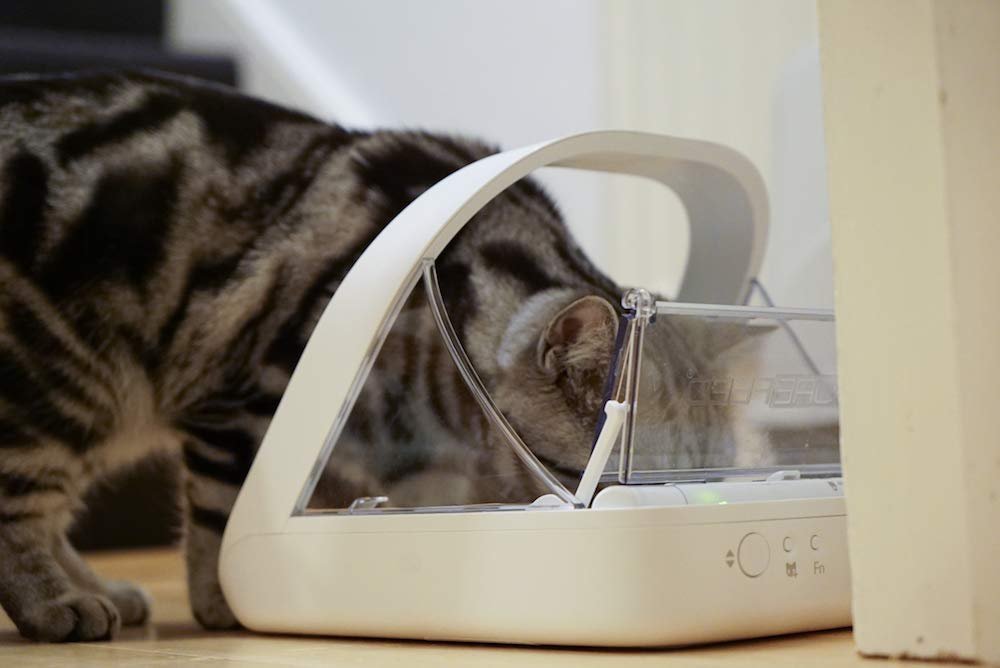 SureFlap Sure Petcare SureFeed - Microchip Pet Feeder - Automatic Pet Feeder Makes Meal Times Stress-Free, MPF001