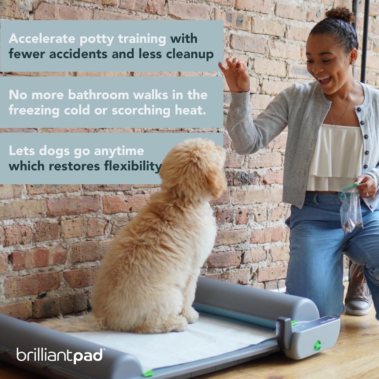BrilliantPad Self-Cleaning, Automatic Indoor Dog Potty for Puppies and Small Dogs | Original Roll w/Plastic Rod & Caps Incl (Original 2.0 Machine w/Drip Lip, Gray)